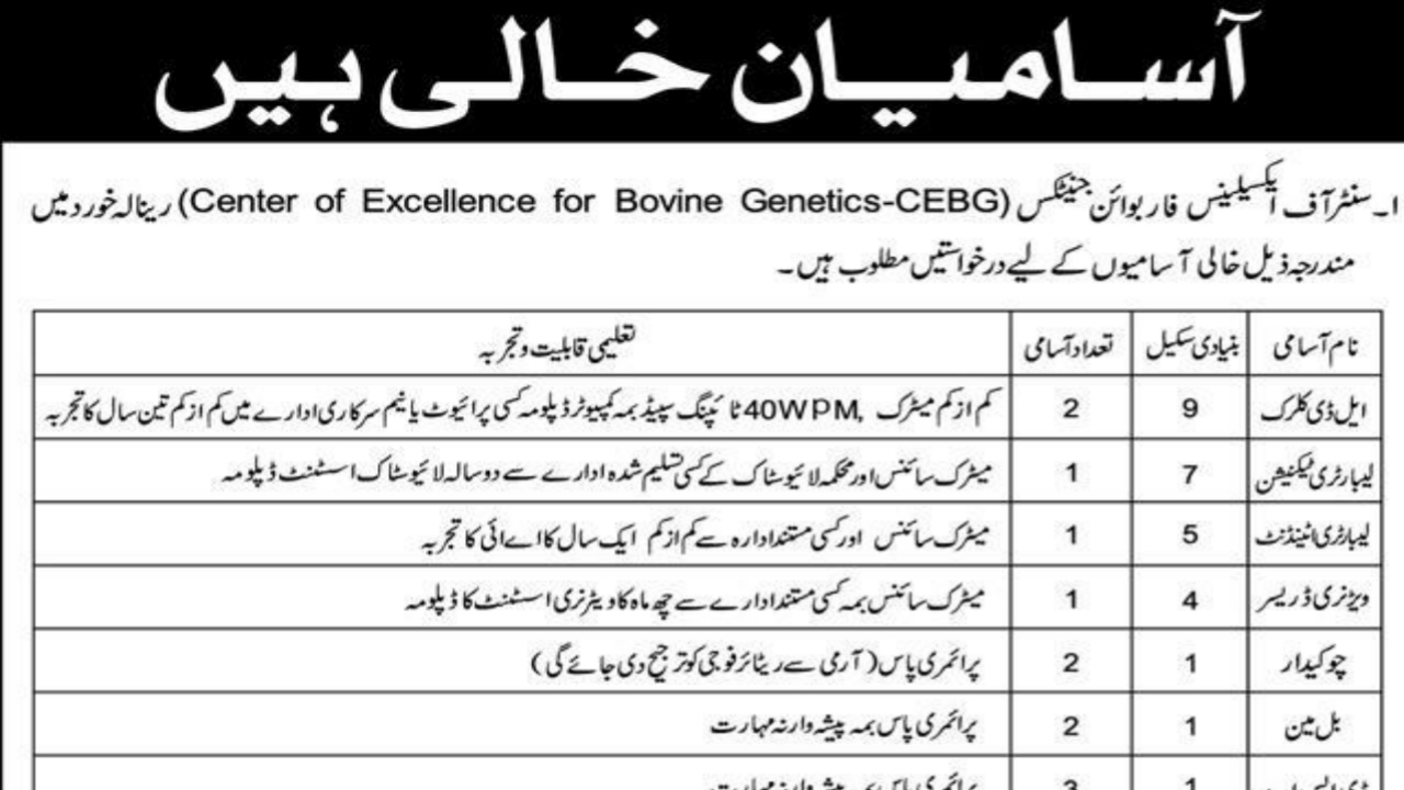 Center Of Excellence For Bovine Genetics Jobs 2022 (CEBG Jobs)